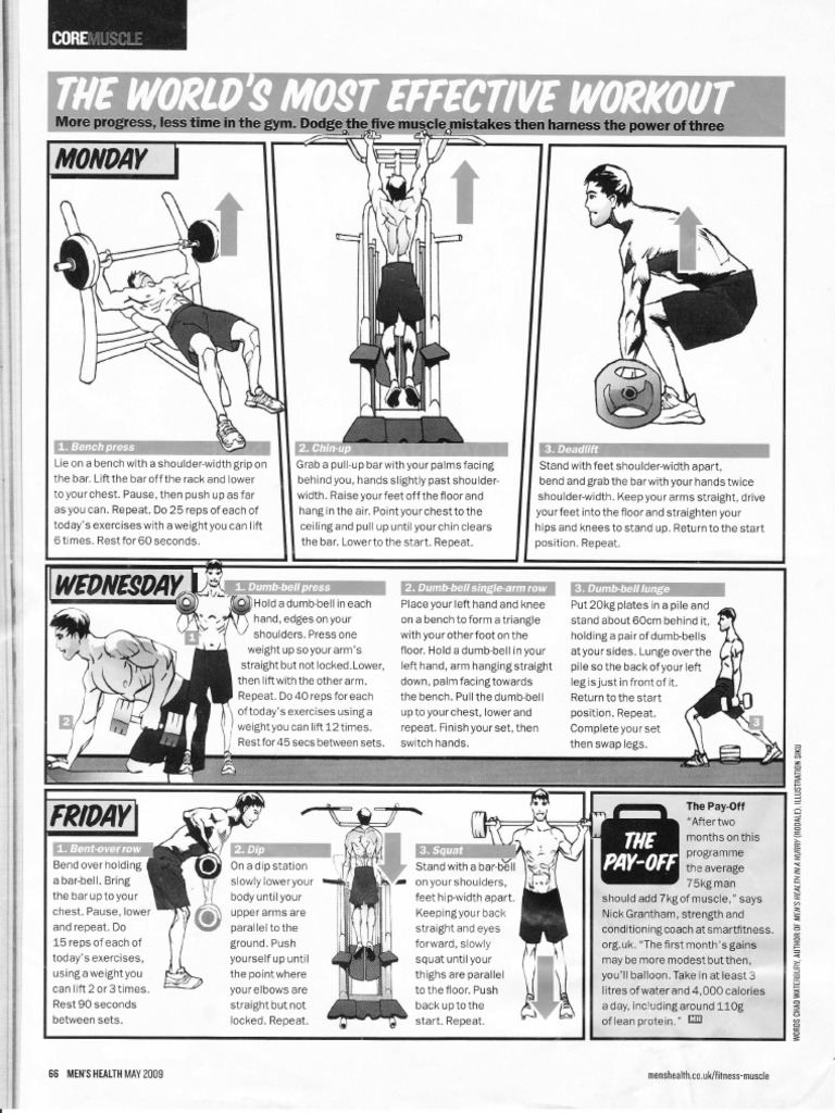 Full-Body Strength Workout Plan | PDF | Recreation | Human Anatomy