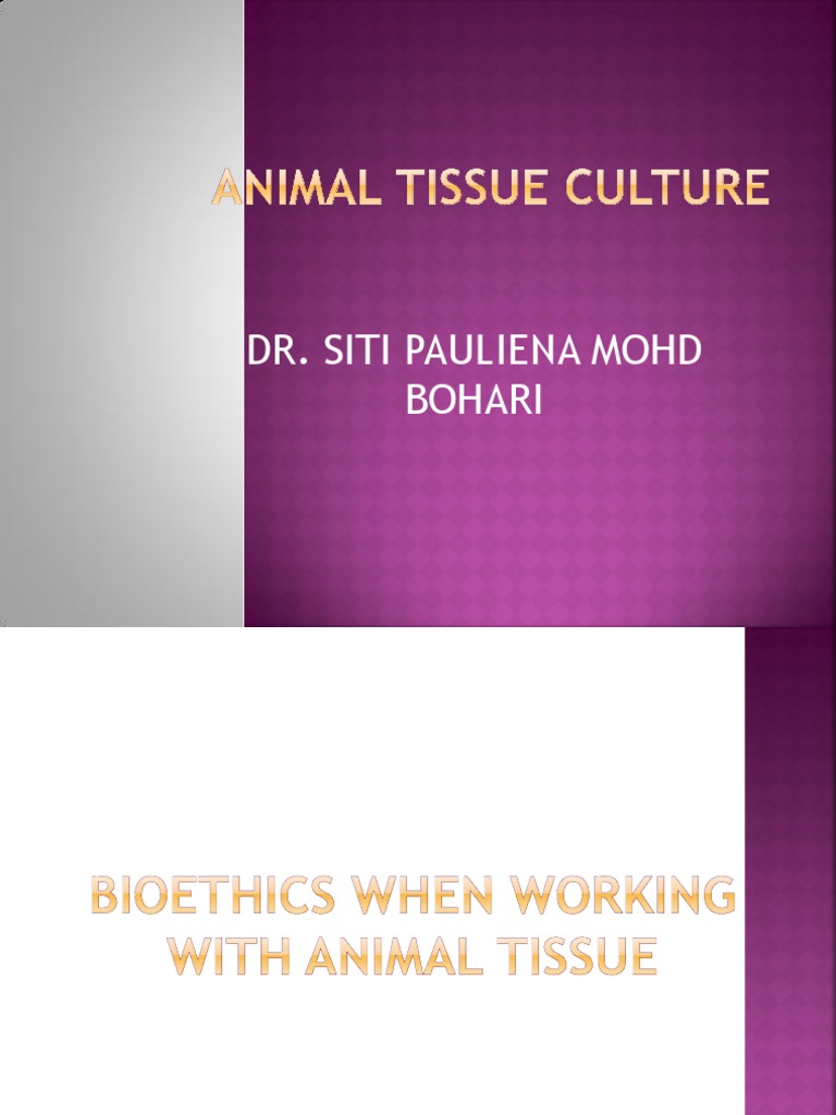 Understanding Bioethics and Its Impact | PDF | Bioethics | Genetic ...