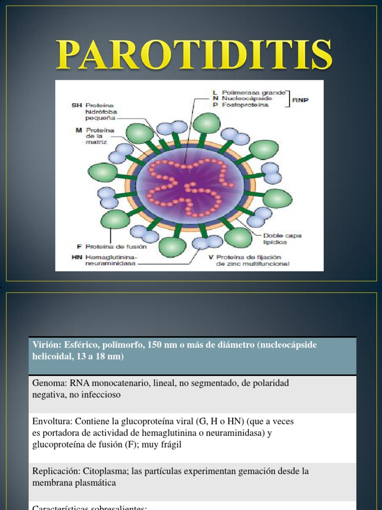 Parotid | PDF | Virus | Infección