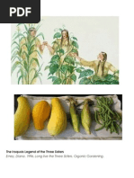 The World On The Turtle's Back | PDF | Iroquois | Narrative