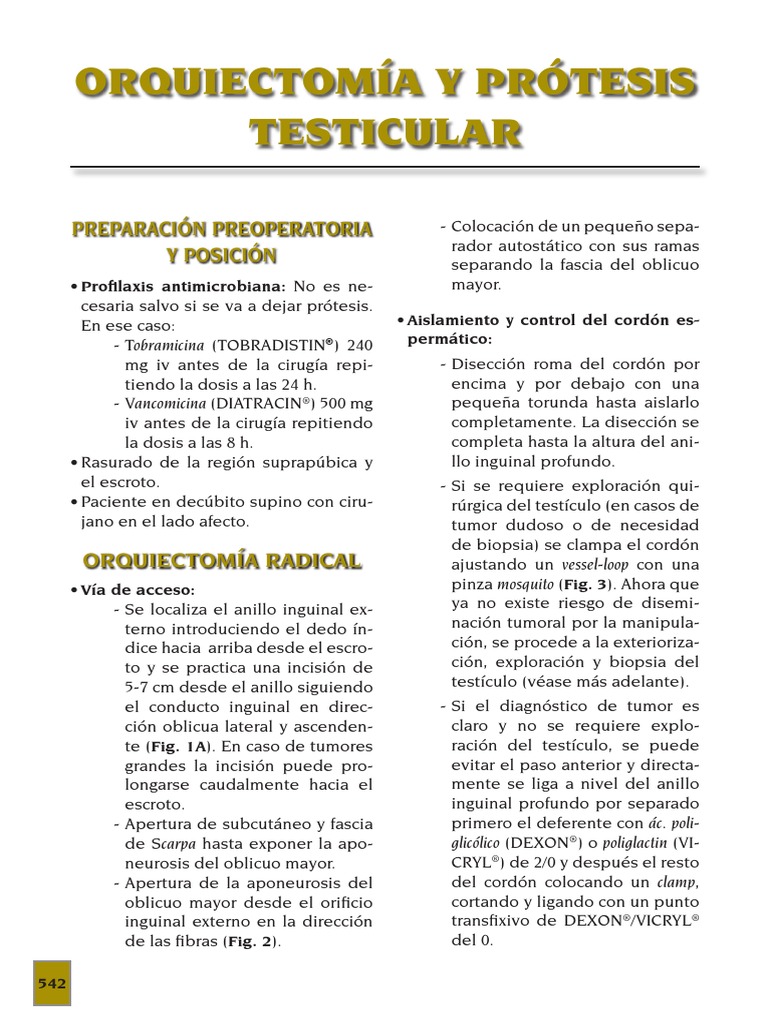 orquiectomia | Testículo | Cirugía