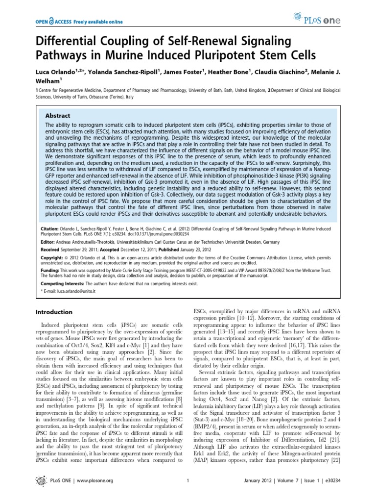 Self Renewal | PDF | Cell Potency | Cellular Differentiation