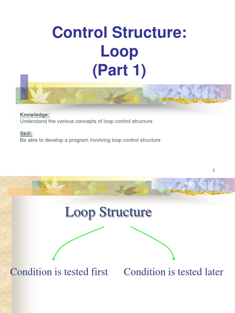 Slide 08a - Control Structure - Loop | PDF | Control Flow | Teaching Mathematics
