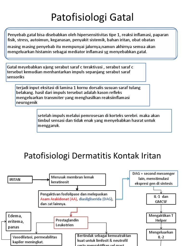 Patofisiologi Gatal Dan Dermatitis Kontak Iritan | PDF