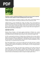 Walc 10 Memory T | PDF | Language Arts & Discipline