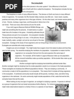 Spanish - Checkpoint A Lesson Plan - Transportation | PDF | Reading ...