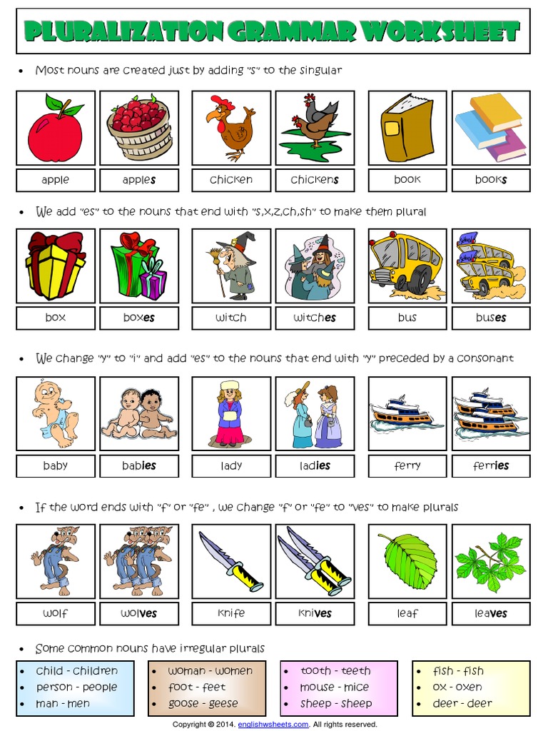 Pluralization Rules Esl Grammar Worksheet | PDF | Language Arts ...