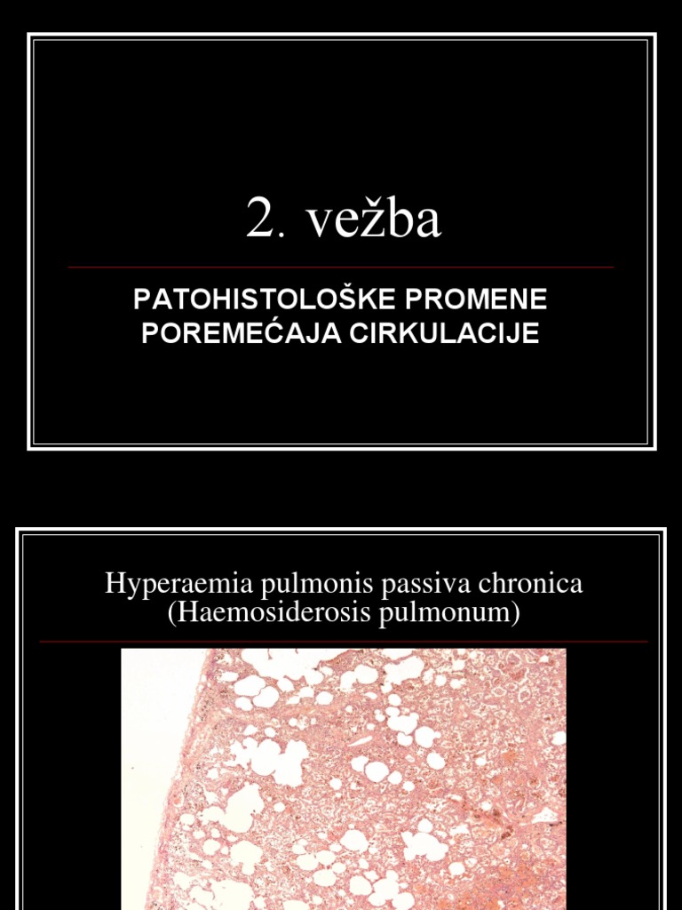 Vezba | PDF | Ciencia y matemáticas