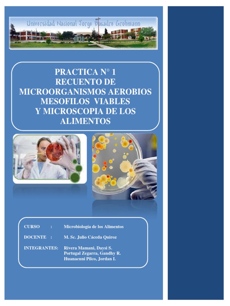 M'Os Aerobios Mesofilos Viables | PDF | Almidón | Microorganismo