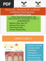 Línea Alba Oclusal | PDF | Enfermedades y trastornos | Boca