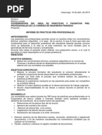 Informe Final de Practicas Preprofesionales | PDF | Educación primaria | Aprendizaje