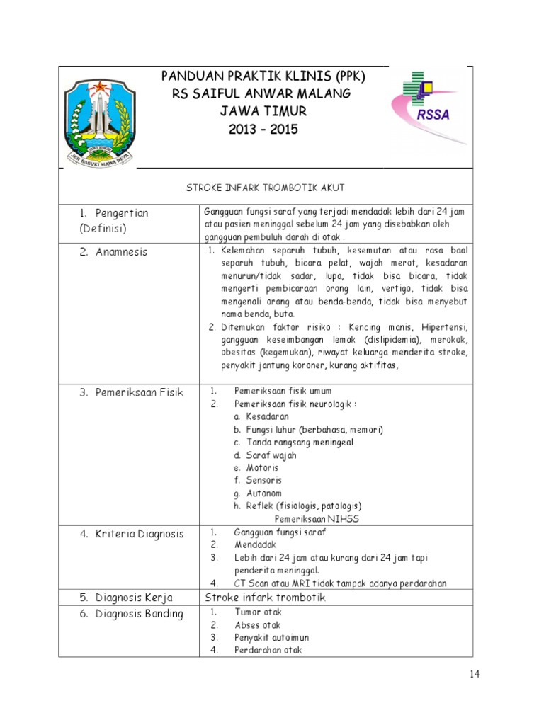 Contoh PPK Stroke Infark | PDF
