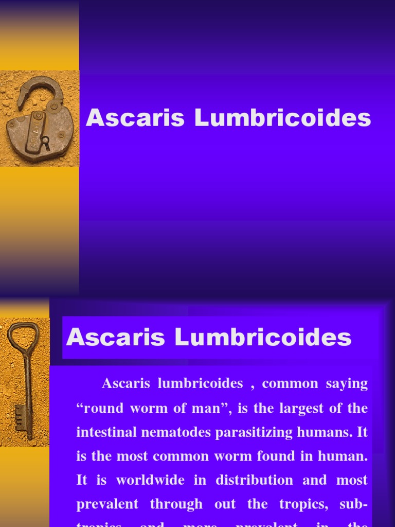 Ascaris | Clinical Medicine | Anatomy