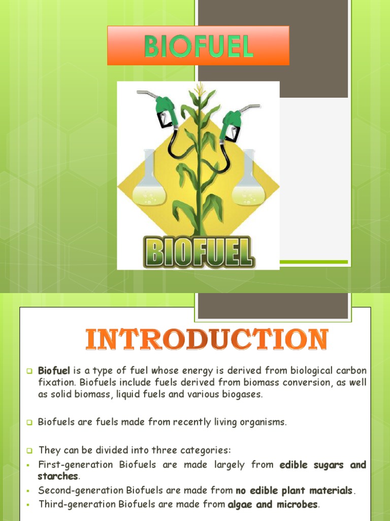 Biofuel Presentation | Biofuel | Natural Gas