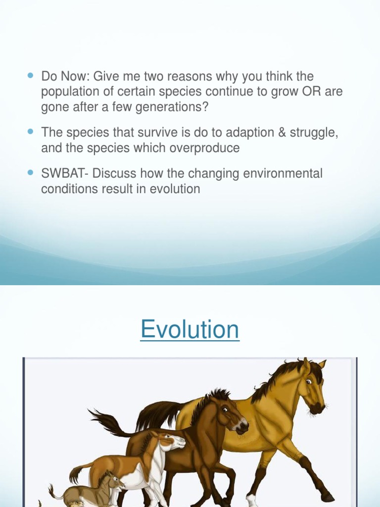 Evolution and Natural Selection Explained | PDF | Natural Selection ...