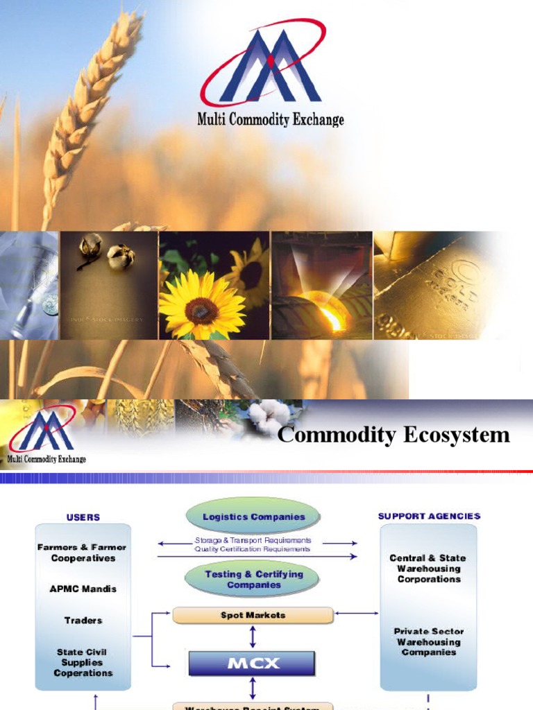 Commodity Futures: Multi Commodity Exchange of India Ltd. (MCX) | PDF ...