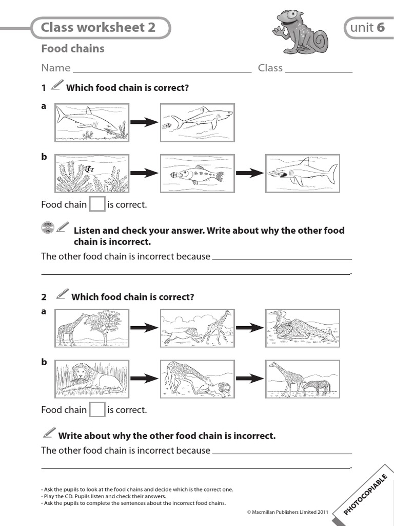 Class Worksheet 2: Unit 6 | PDF | Wellness | Science & Mathematics