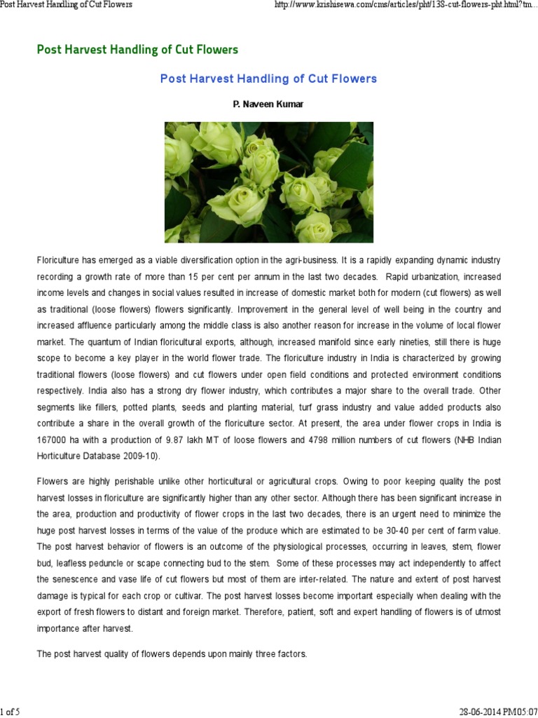 Post Harvest Care of Cut Flowers | PDF | Plant Hormone | Flowers