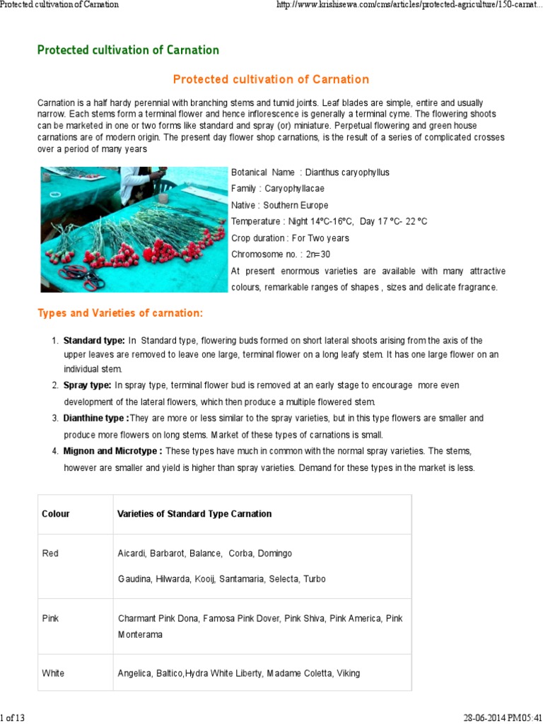 Protected Cultivation of Carnation | PDF | Soil | Flowers