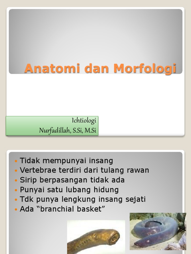 Morfometrik Ikan | PDF