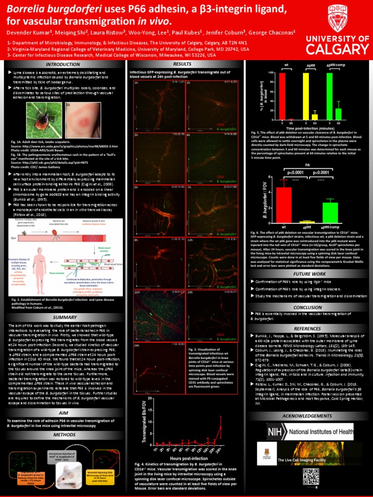 Results: Devender Kumar, Meiqing Shi, Laura Ristow, Woo-Yong, Lee, Paul ...
