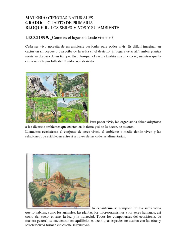 Ciencias Naturales Los Seres Vivos PDF | PDF | Huevo | Ecosistema