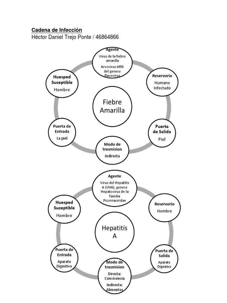 Cadena de Infección | PDF