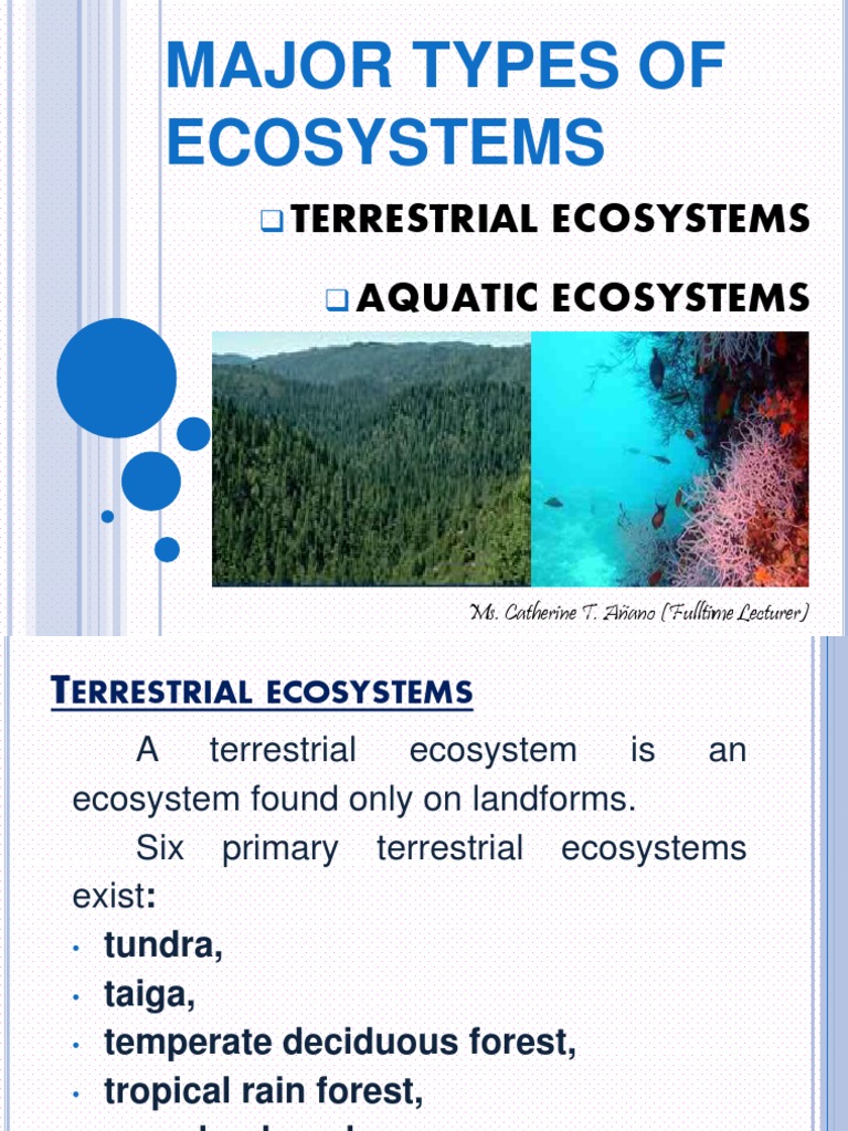 Types of Terrestrial and Aquatic Ecosystems | PDF | Grassland | Forests