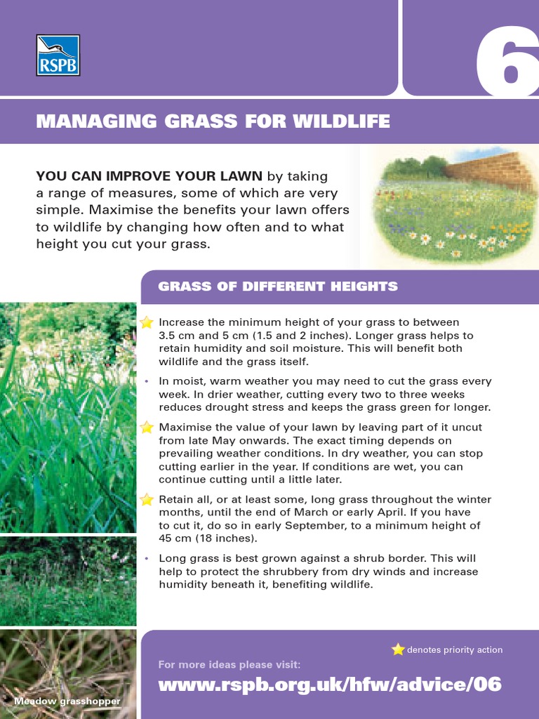 Grass Cutting PDF | Lawn | Gardens