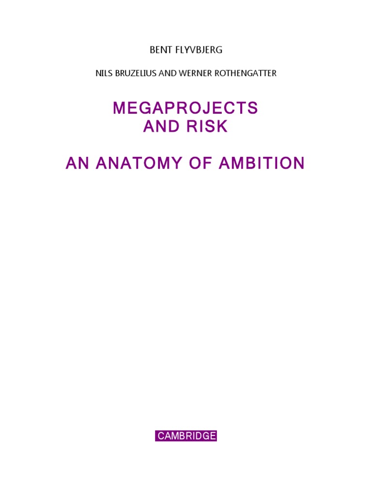 Megaprojects and Risks - English | PDF | Risk | Rail Transport