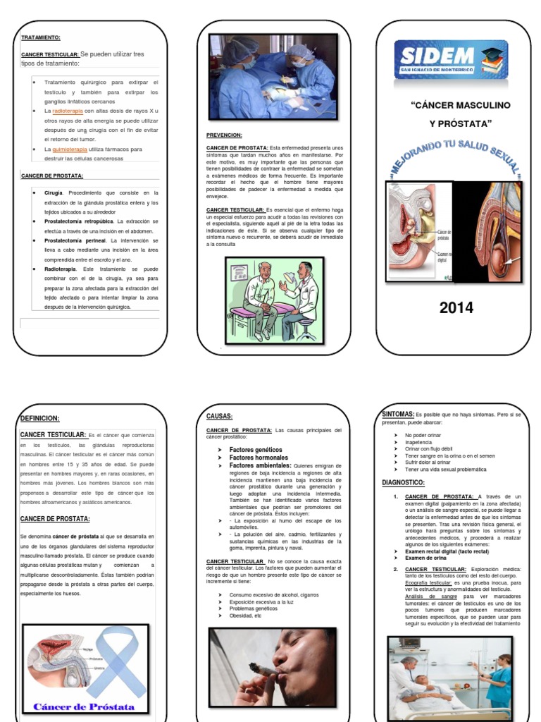 Triptico LIZ | PDF | Cancer de prostata | Cáncer