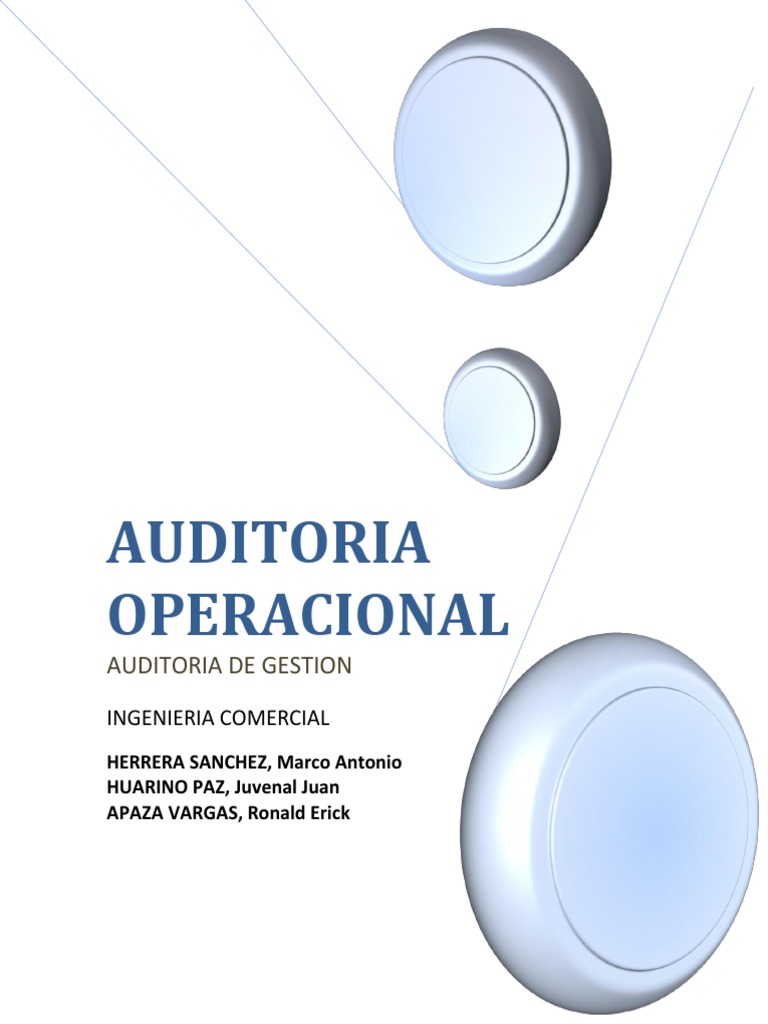Auditoria Operacional | PDF | Presupuesto | Auditoría financiera