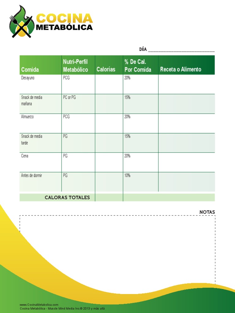 Plantilla para Registro Diario de Comidas | PDF