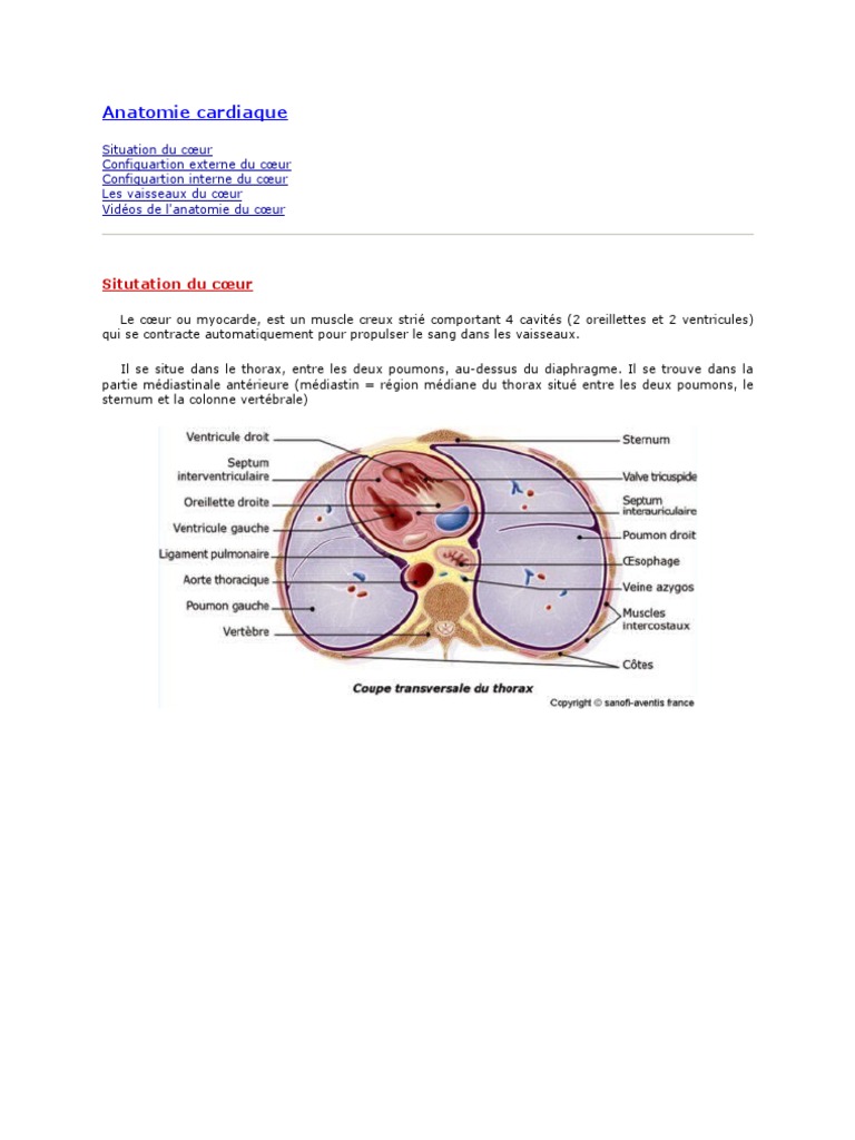 Anatomie Cardiaque | PDF | Cœur | Atrium (anatomie)