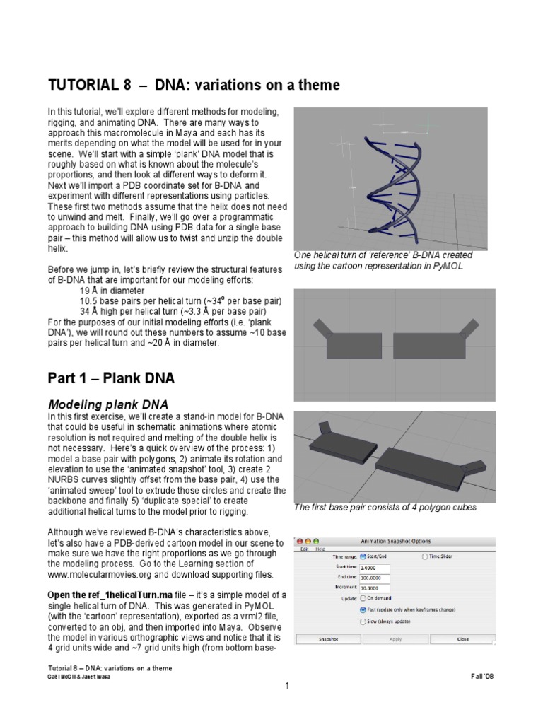 Dna Maya Tutorial | PDF | Nucleic Acid Double Helix | Helix