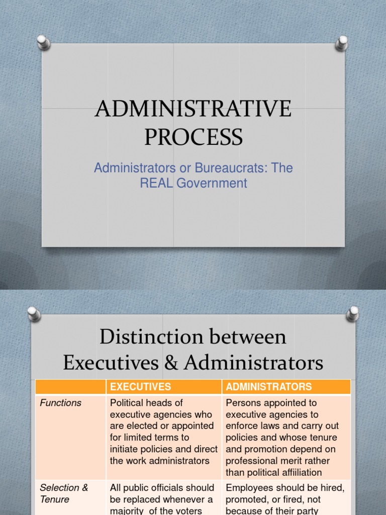 Understanding Philippine Bureaucracy | PDF | Civil Service | Employment