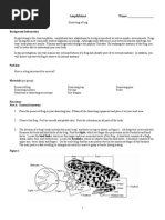Name: Virtual Microscope by BIONETWORK: Online Edition | PDF | Optical ...