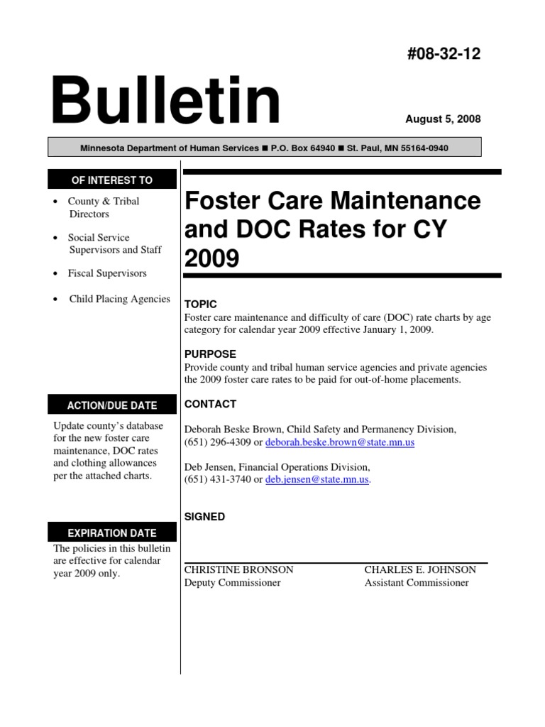 2009 Minnesota Foster Care Rates Update | PDF | Foster Care | Social ...