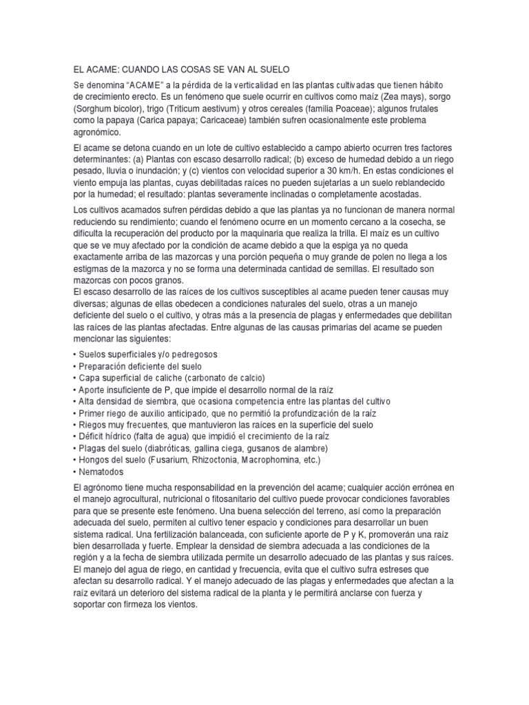 El Acame | PDF | Maíz | Ciencia de la agricultura