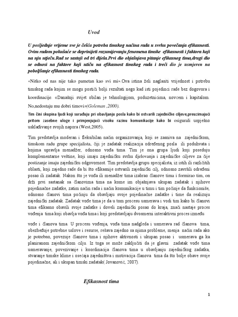 Efikasan Timski Rad | PDF