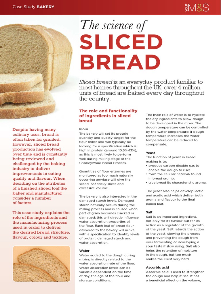 Sliced Bread: The Science of | PDF | Breads | Dough