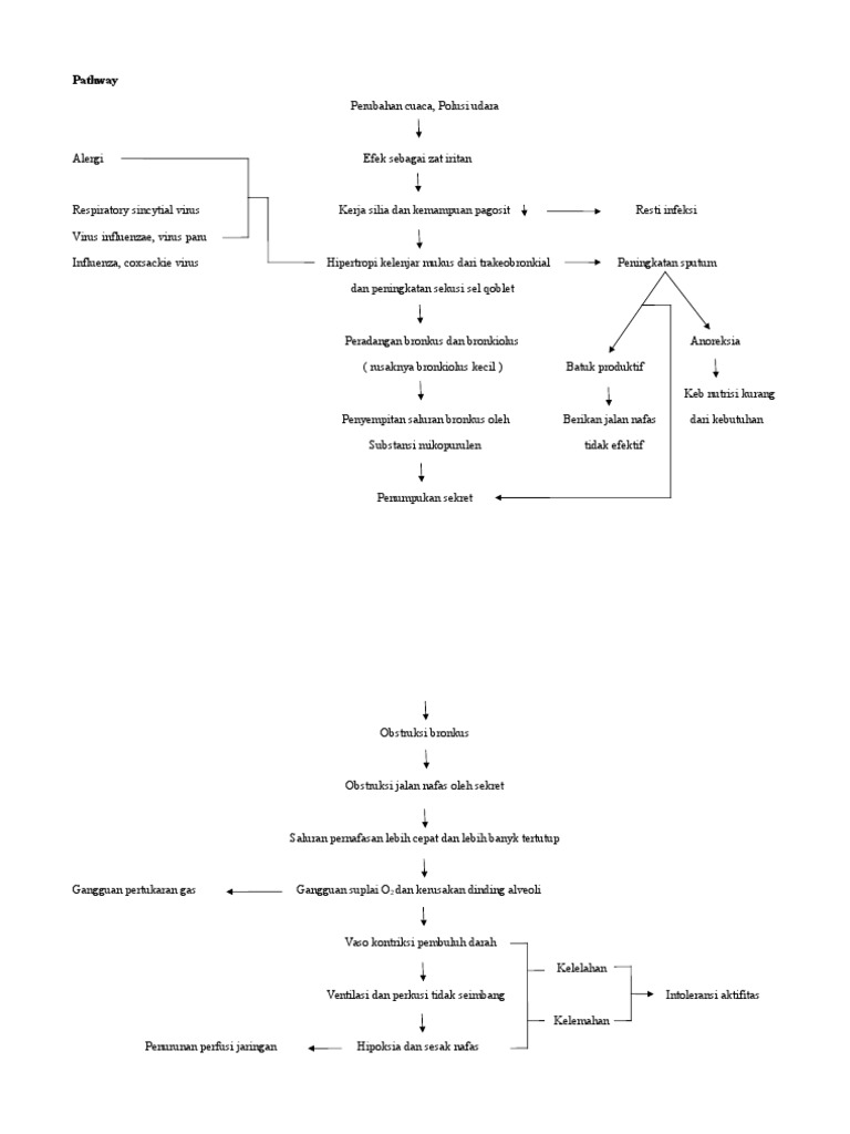 Pathway Bronkhitis | PDF | Seni | Sains & Matematika