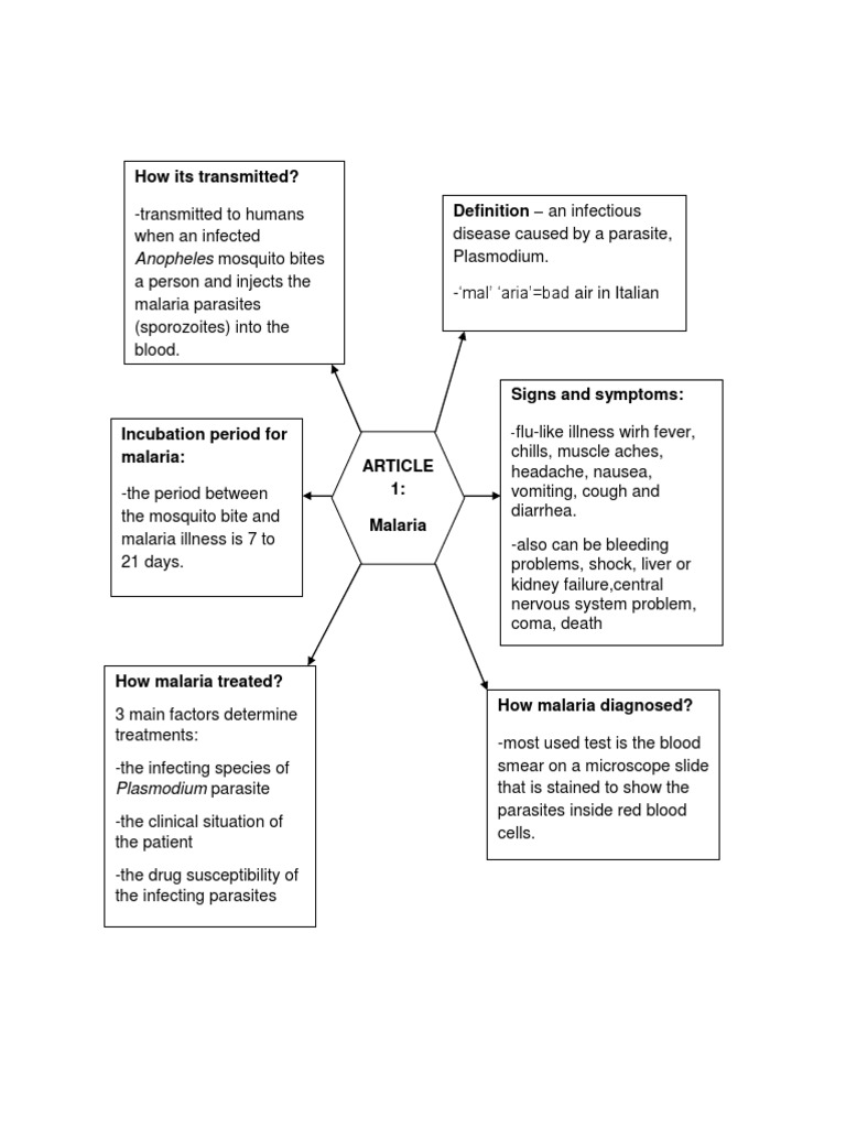 Mindmap Bi | PDF | Malaria | Plasmodium