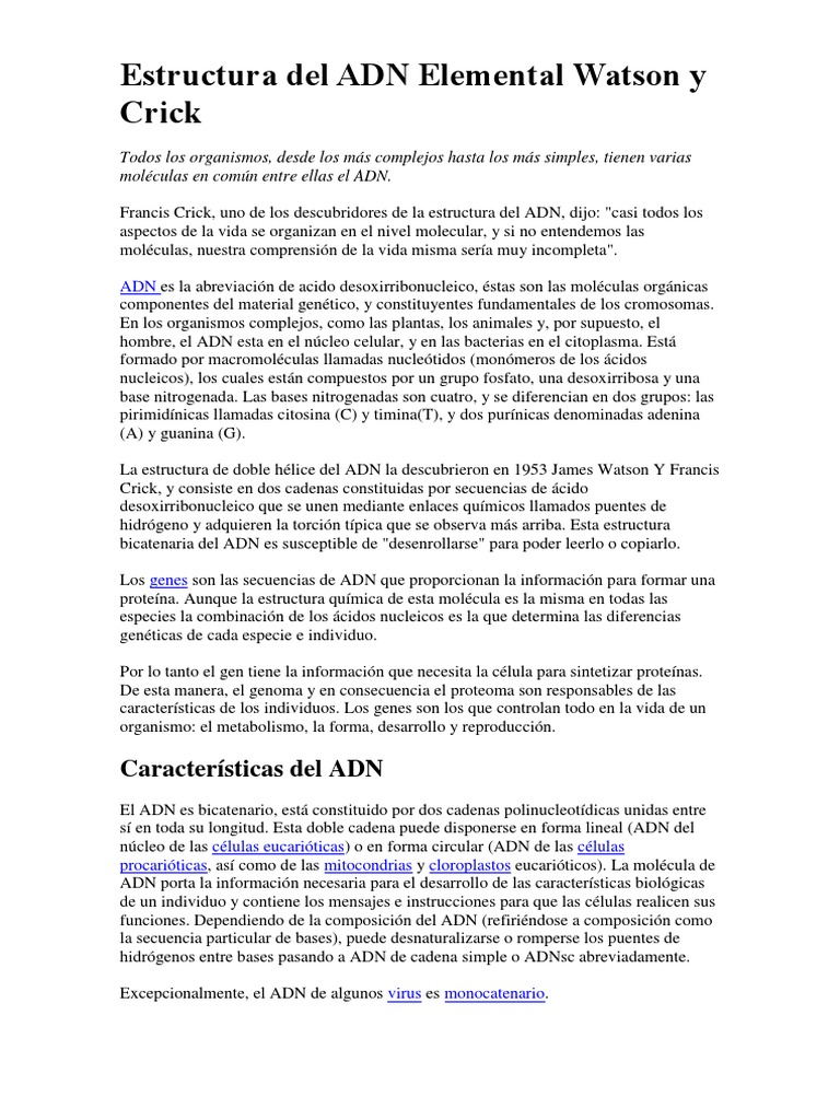 Estructura Del ADN Elemental Watson y Crick | PDF | Rna | Interferencia de ARN