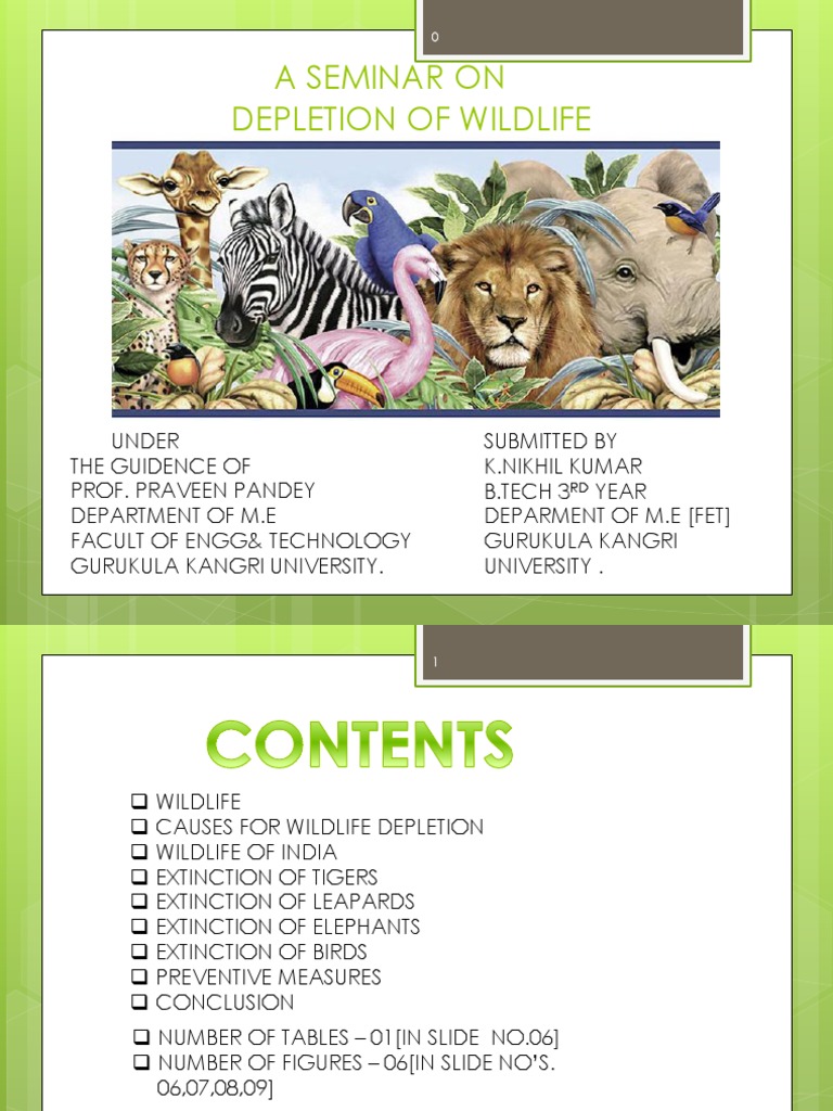 Wild Life | Download Free PDF | Conservation Biology | Wildlife