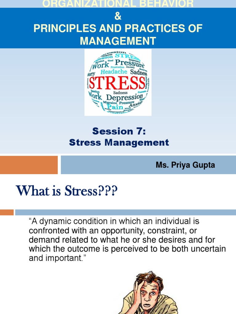 OB - Stress Management | PDF | Stress Management | Work–Life Balance