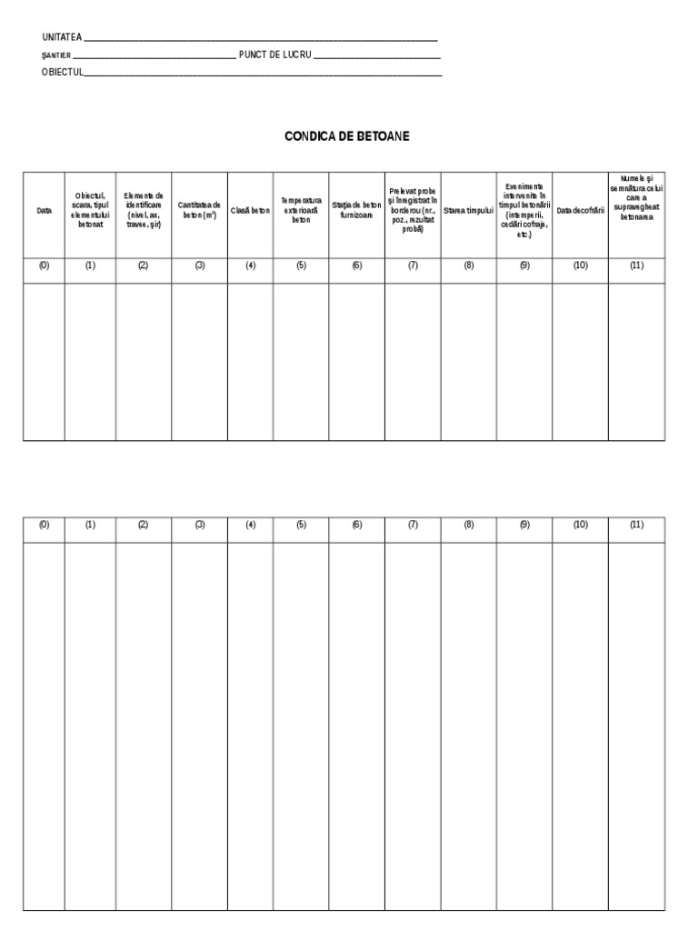 Condica Betoane | PDF