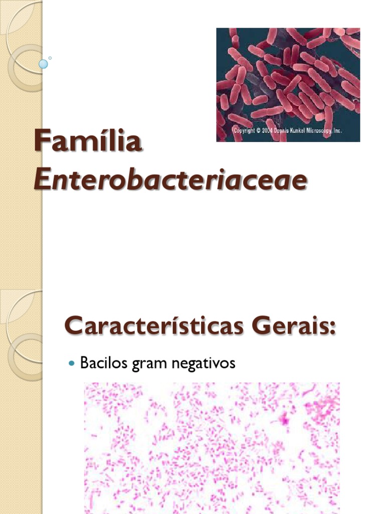 26ª - Família Enterobacteriaceae | Microrganismo | Patologia Clínica