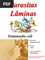 Ciclo Monoxeno e Heteroxeno e Medidas Profiláticas - Parasitologia | PDF