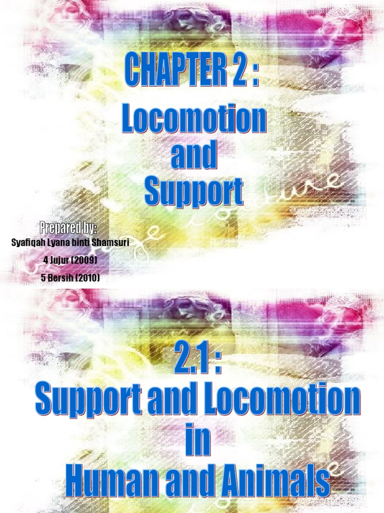 Locomotion and Support | PDF | Vertebra | Vertebral Column